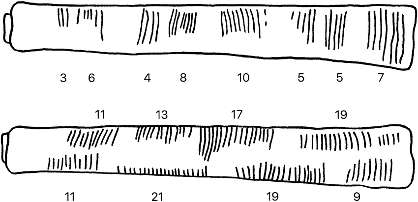 O osso de Ishango – Fred Lopes